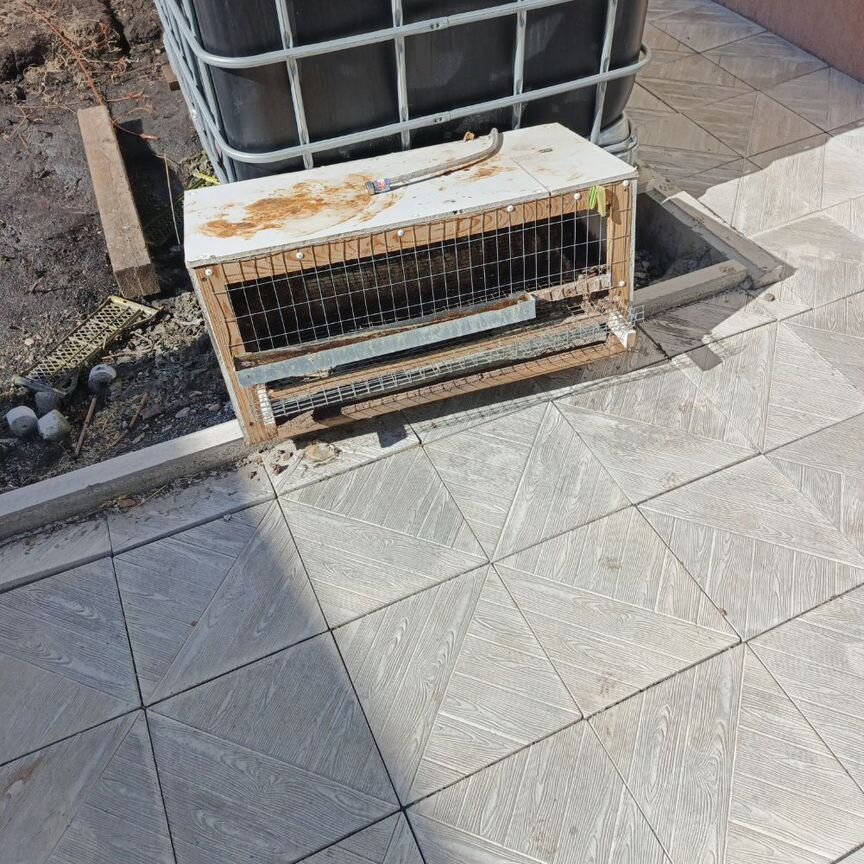 Клетки для перепелов бу