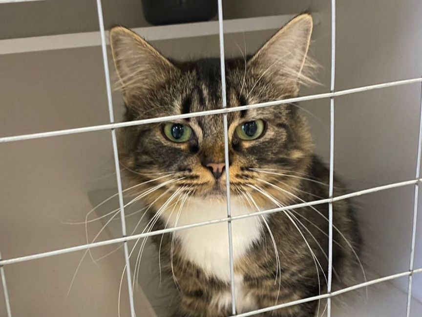 Никто не любит