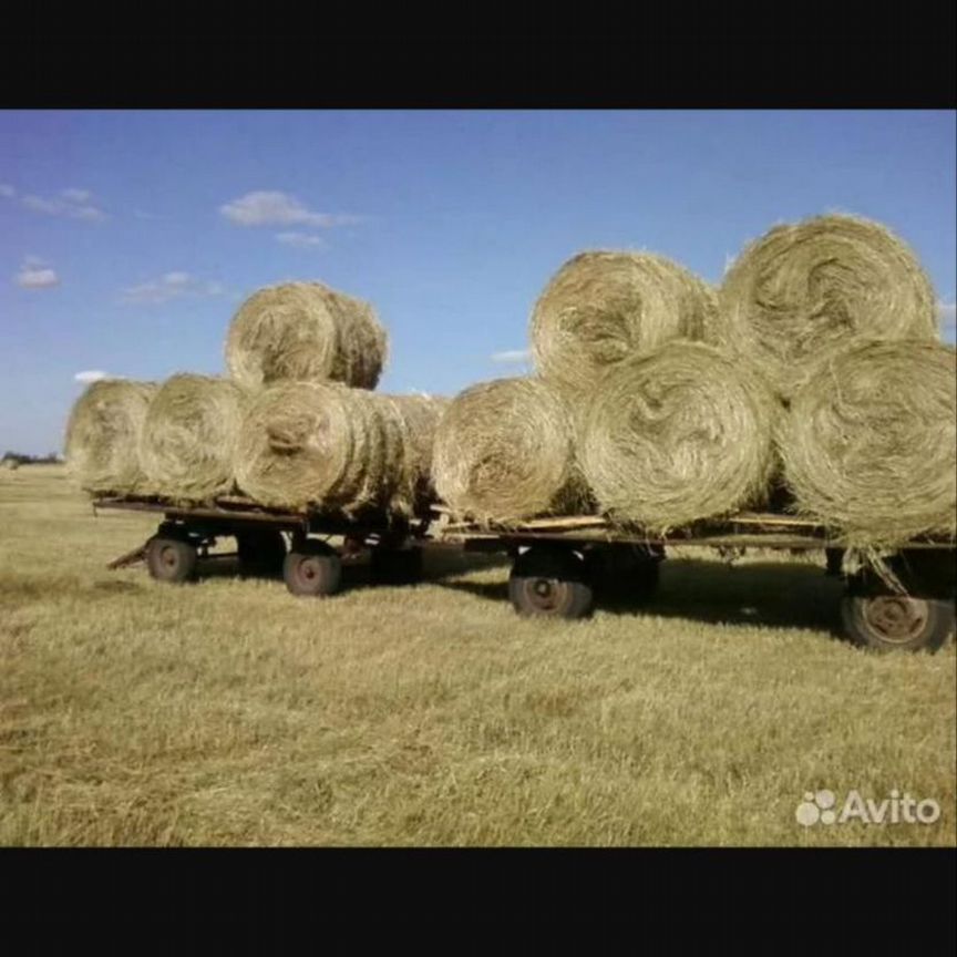 Сено в рулонах