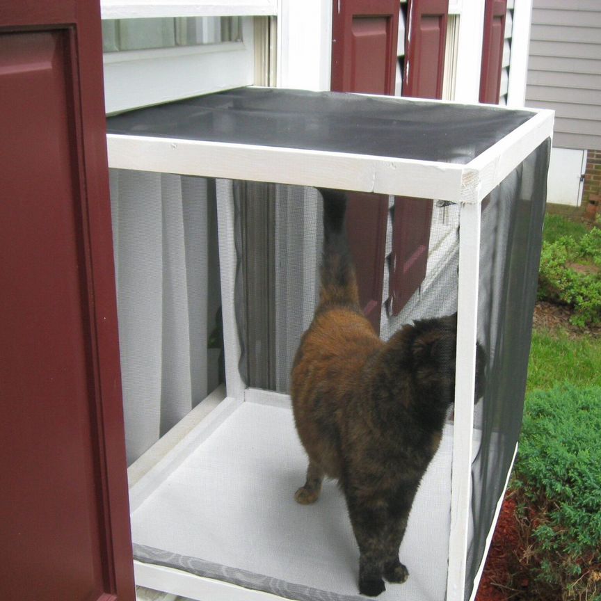 Вольер для кошек