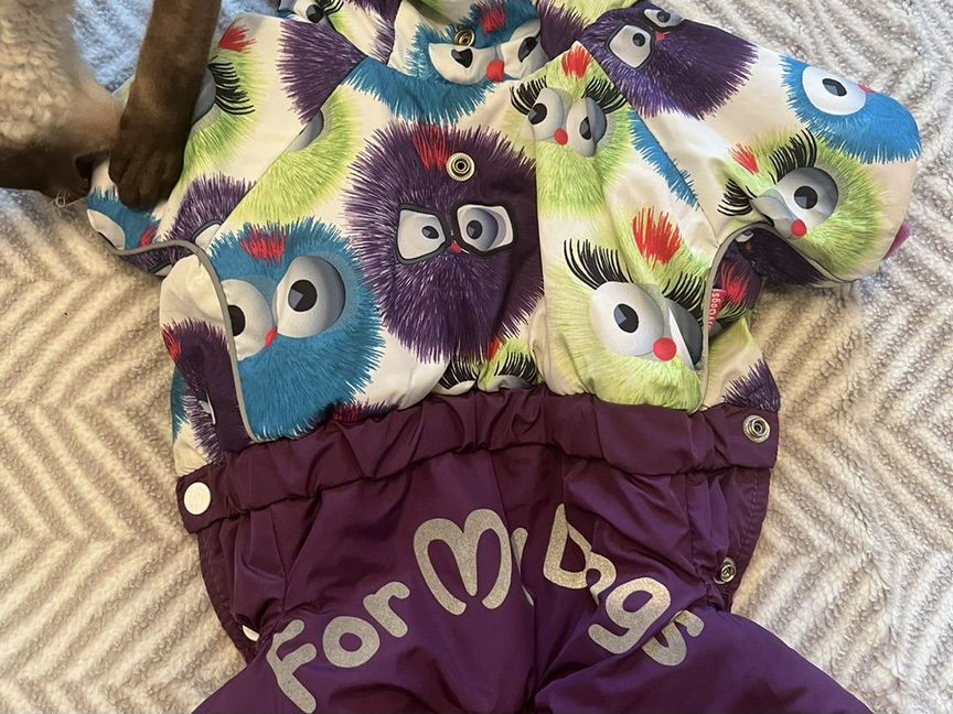 Комбинезон зимний для собак Formydogs
