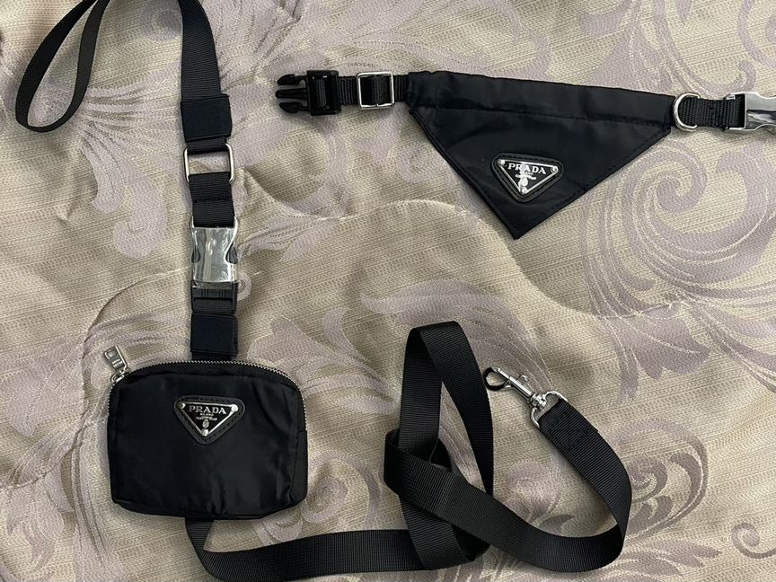 Ошейник и поводок prada брендовый