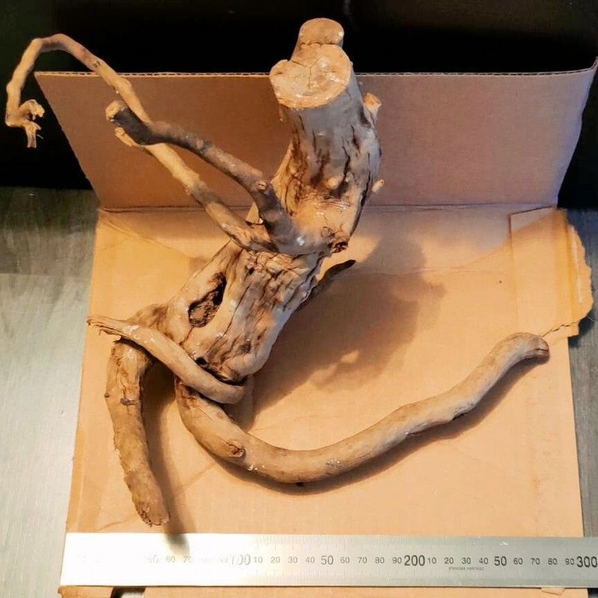 Коряги для террариума