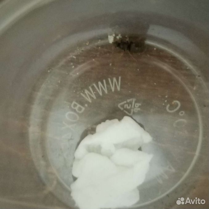 Муравьи-Lasius niger