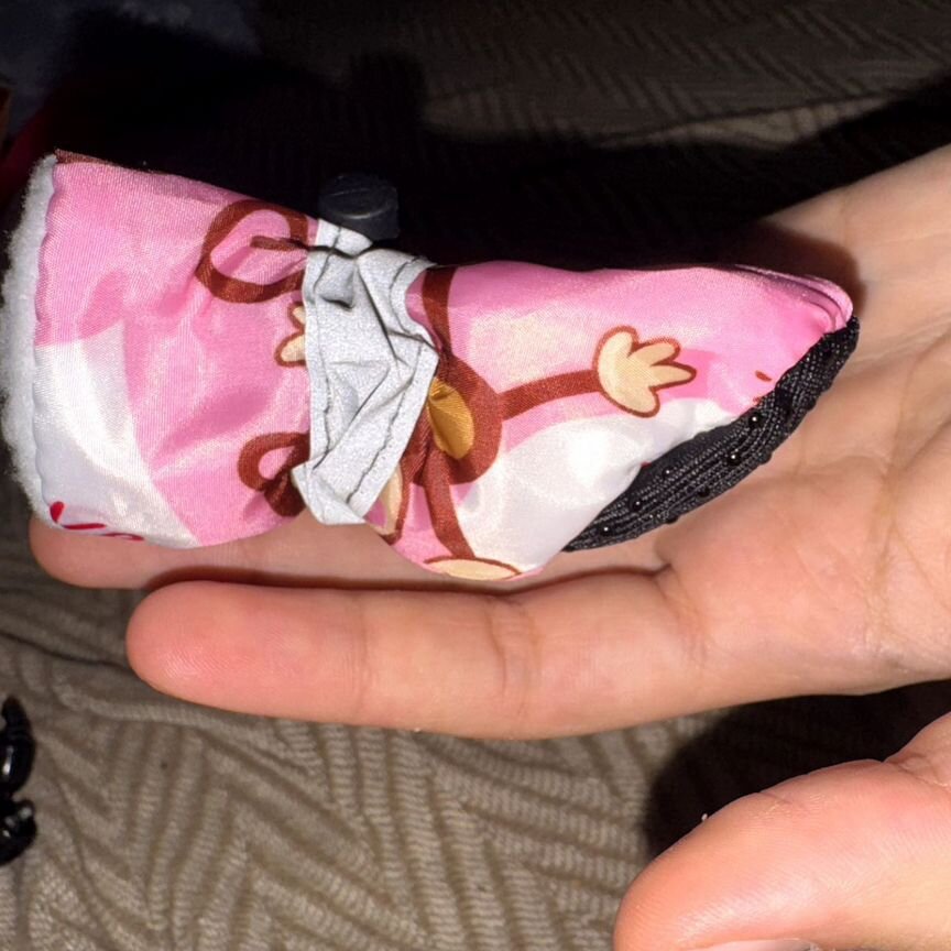 Обувь для маленьких собак