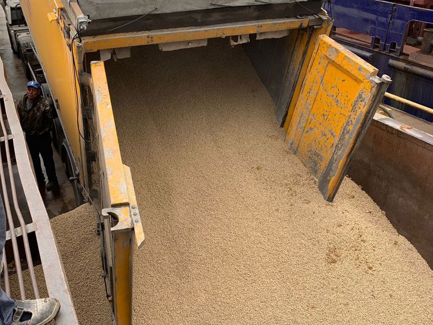 Товары для животных