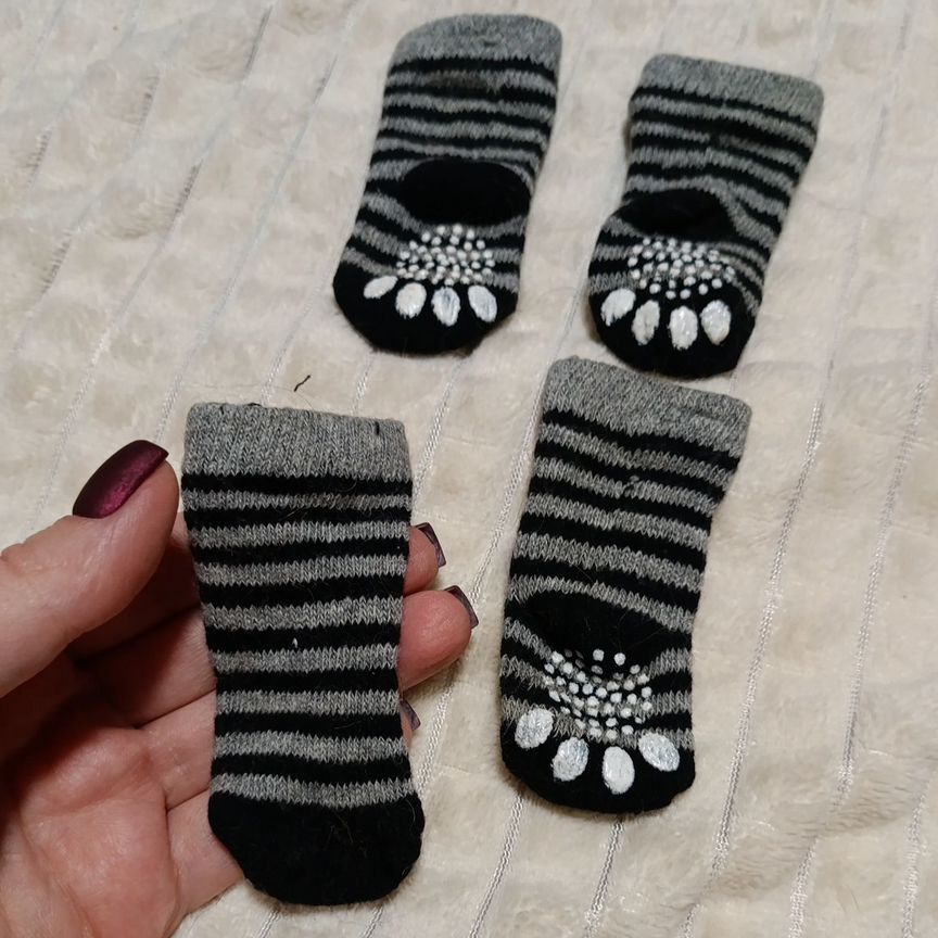 Носки для собак