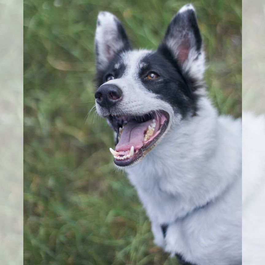 Обездоленный мальчик из приюта ищет любящую семью