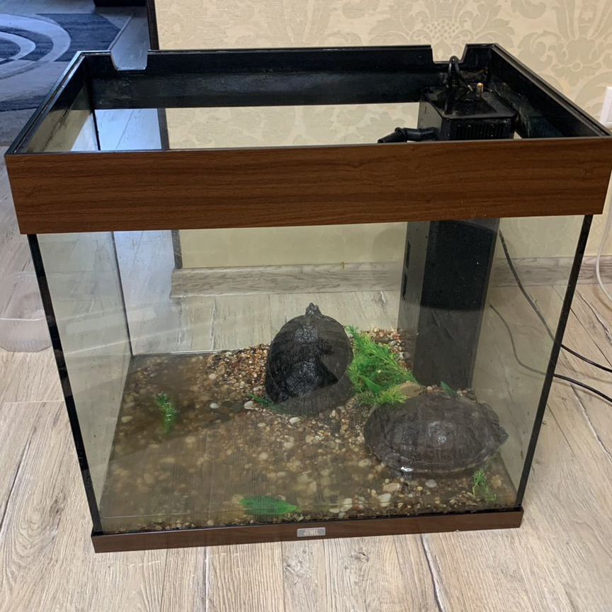 Аквариум juwel rio 125л