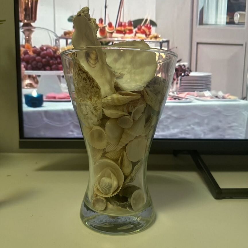 Ракушки