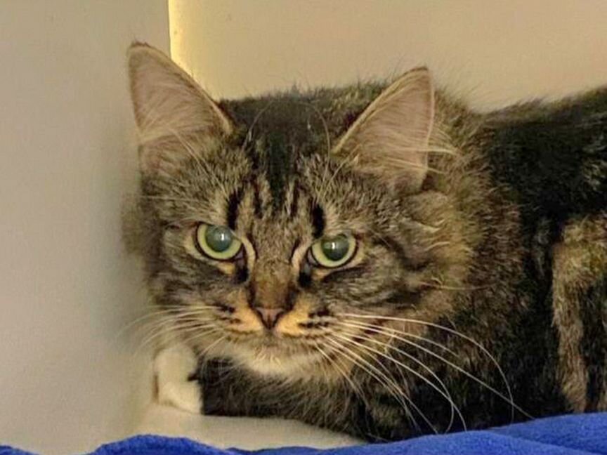 Никто не любит