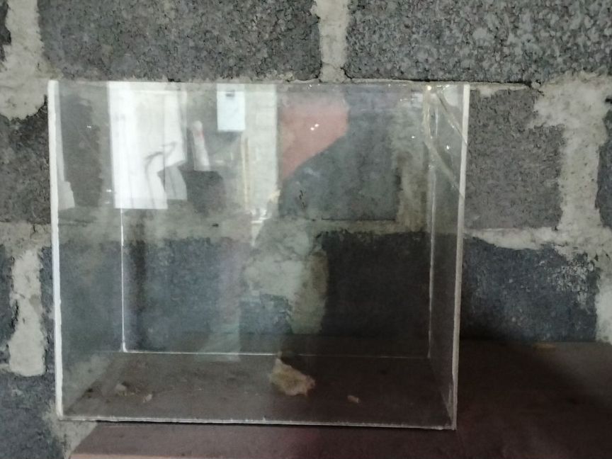 Аквариум
