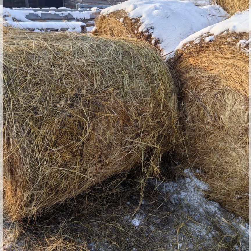 Продам сено в тюках
