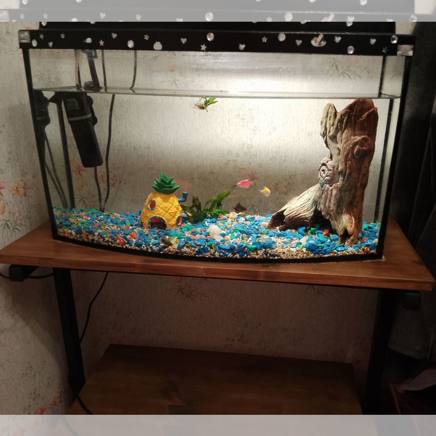 Аквариум на 40 литров с тумбой