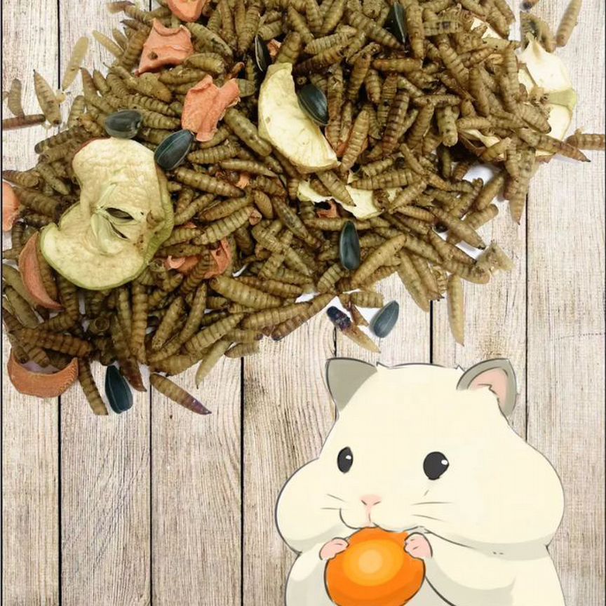 Лакомство для птиц и не только