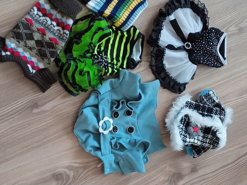 Одежда для маленькой собачки