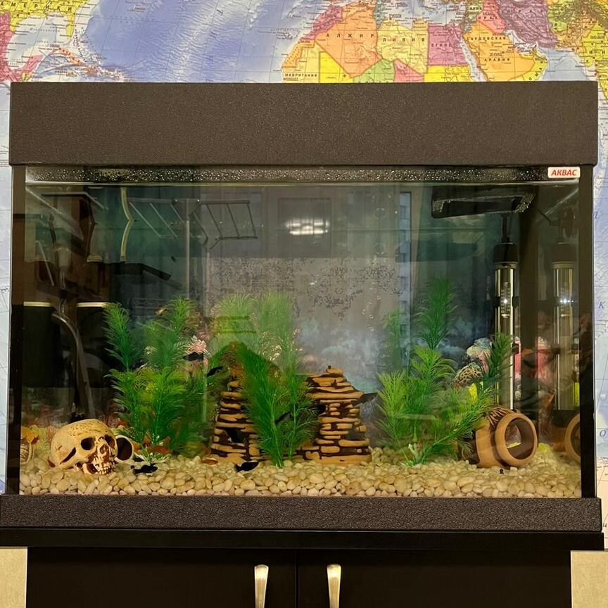Аквариум 50 литров
