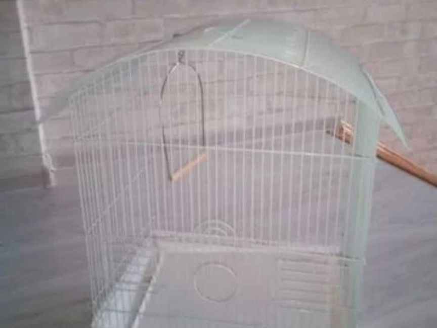 Клетка