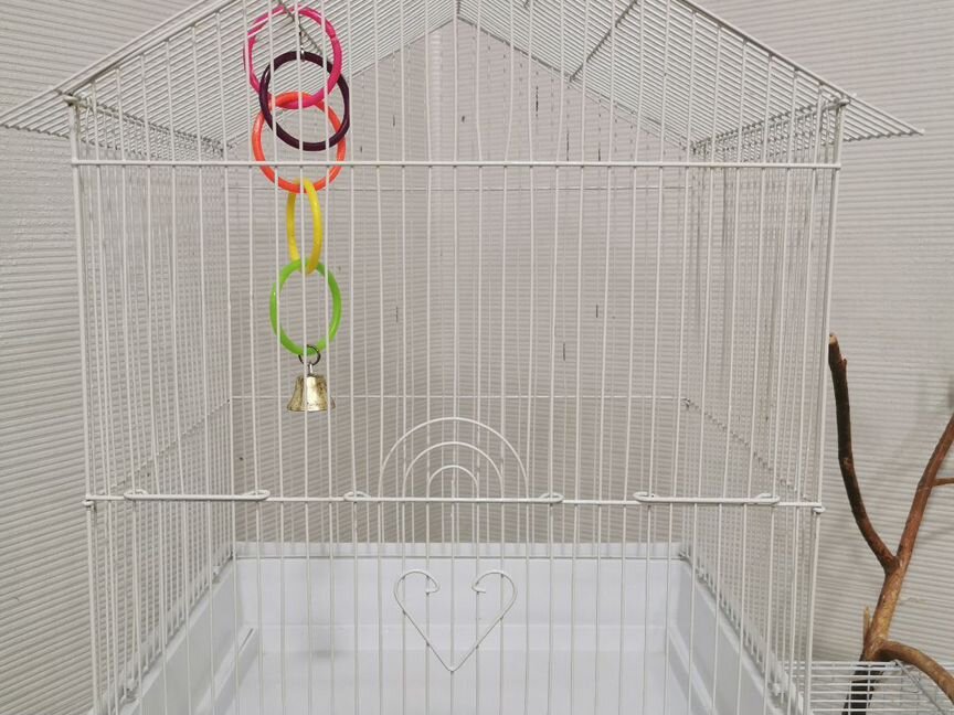 Клетка для волнистого попугая + подарки