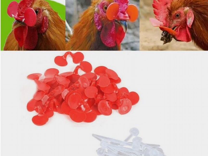 Очки для кур и петухов от расклёва 100 шт