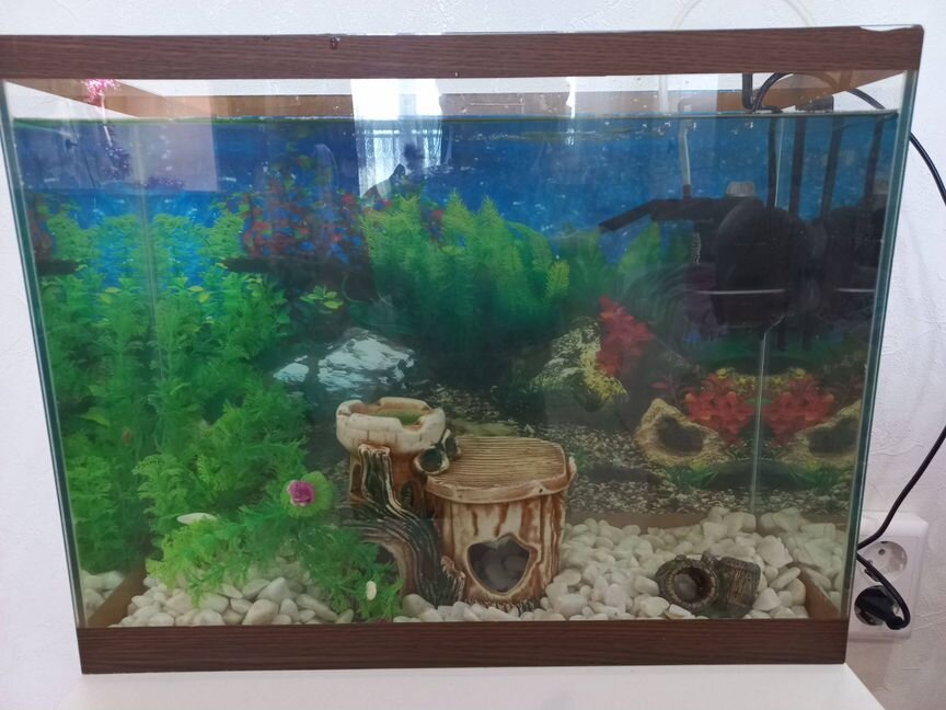Аквариум