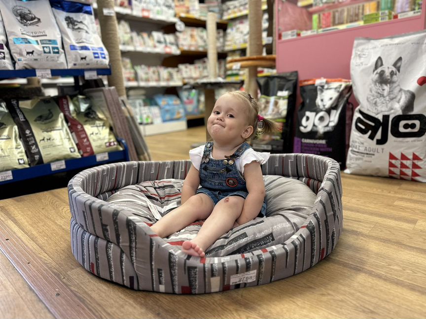 Лежанки для крупных собак и кошек