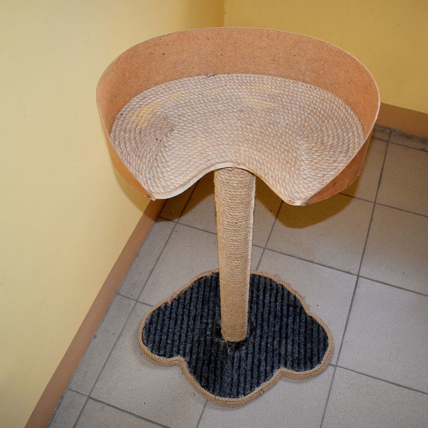 Когтеточка для кошек бу