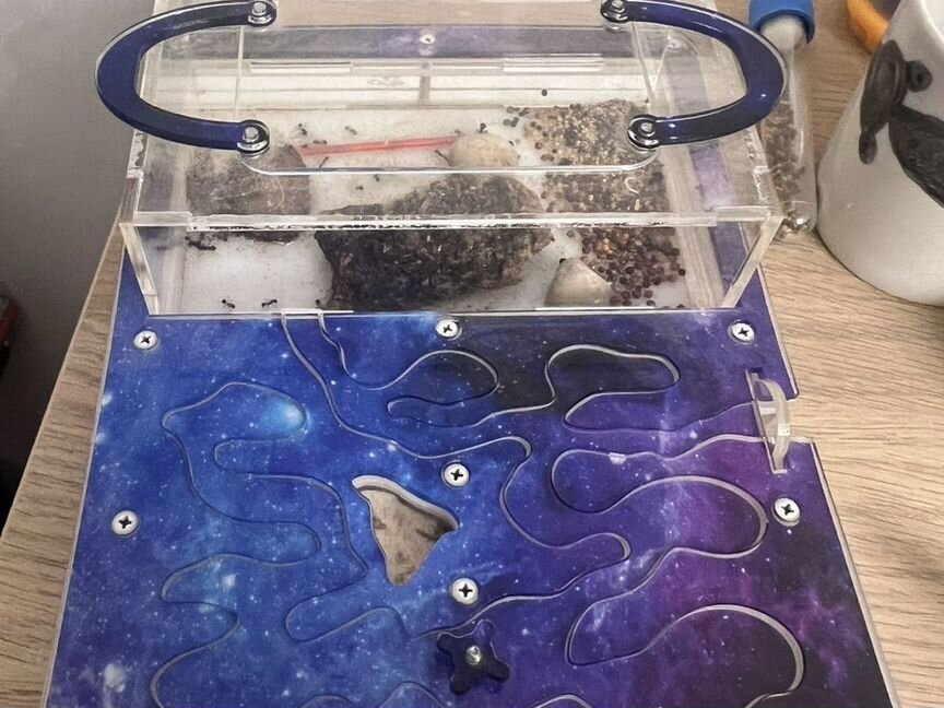 Муравьиная ферма antplanet