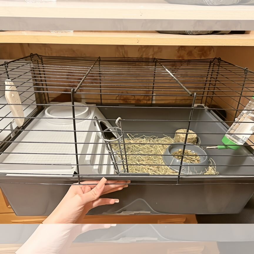 Клетка для грызунов