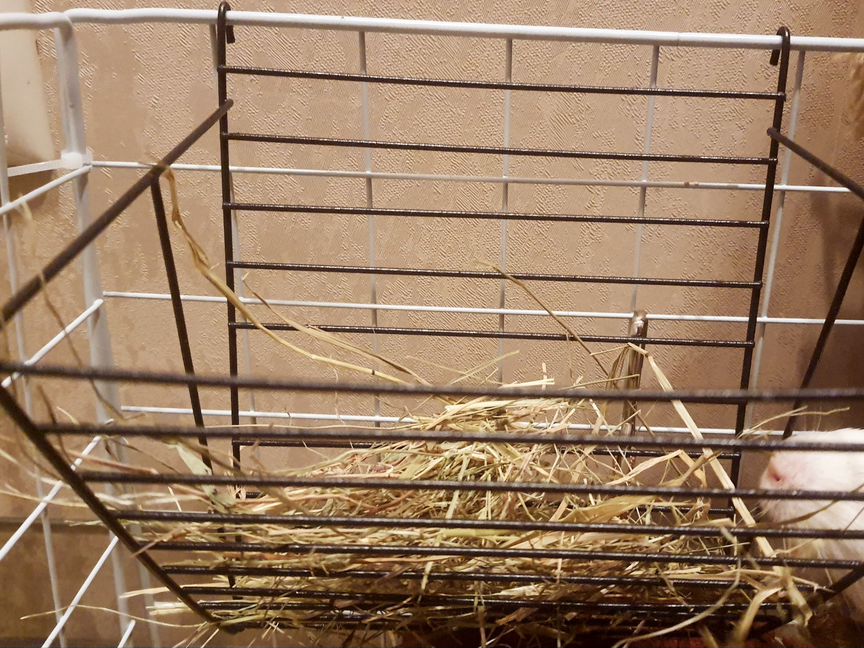 Сенник,лежанка,лоток(туалет) для грызунов