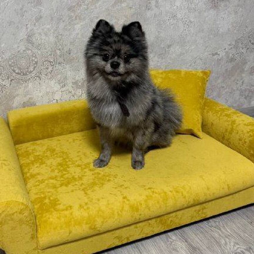 Диванчик для собаки / лежанка / диван для питомца