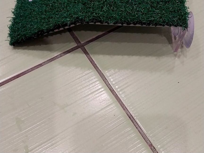 Островок для черепахи