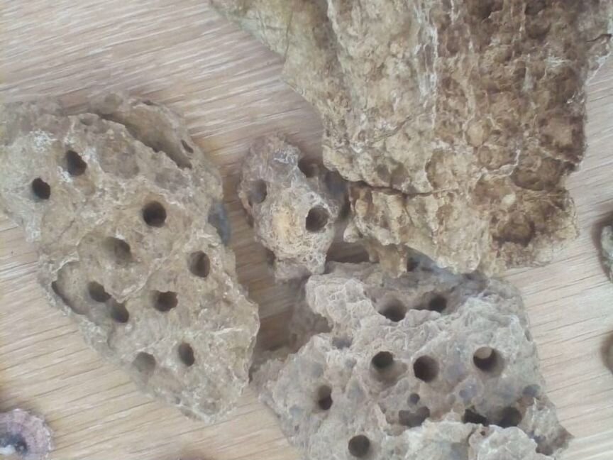 Декорации для аквариума