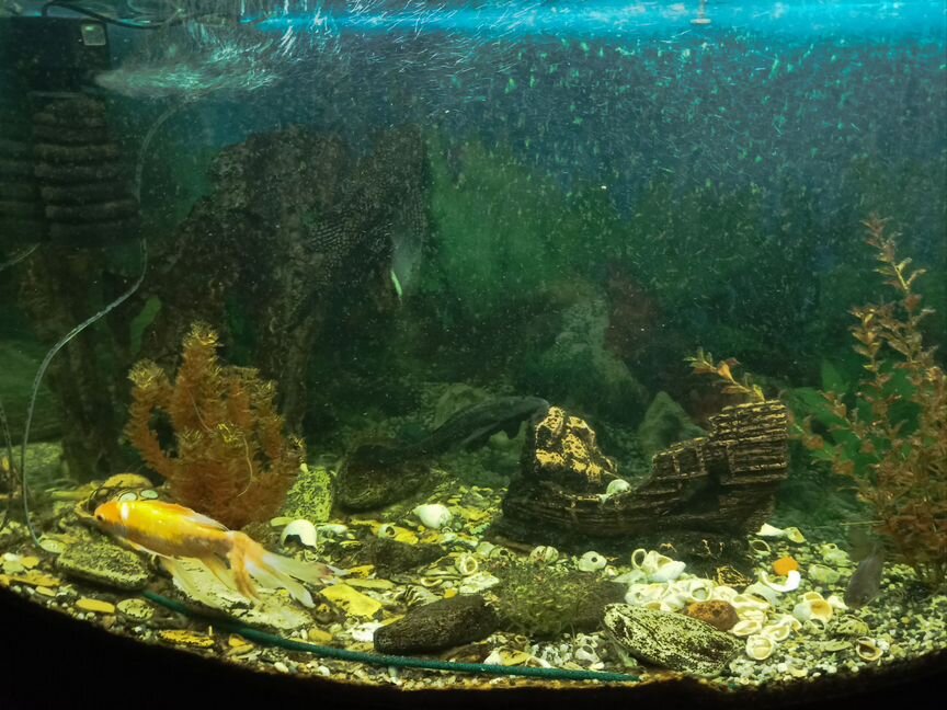 Аквариум с тумбой 380литров