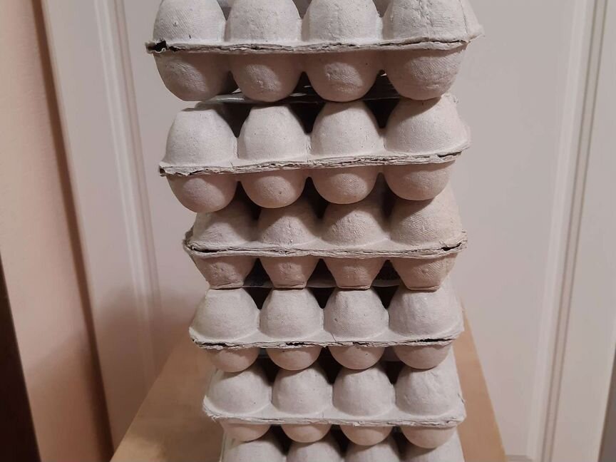 Ячейки для перепелиных яиц и куриных яиц