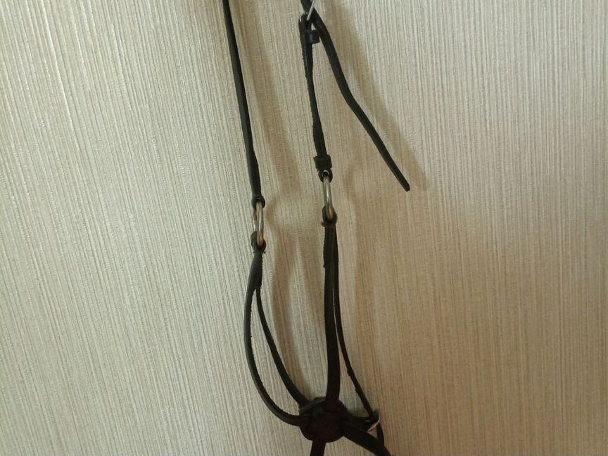 Капсюль для лошади