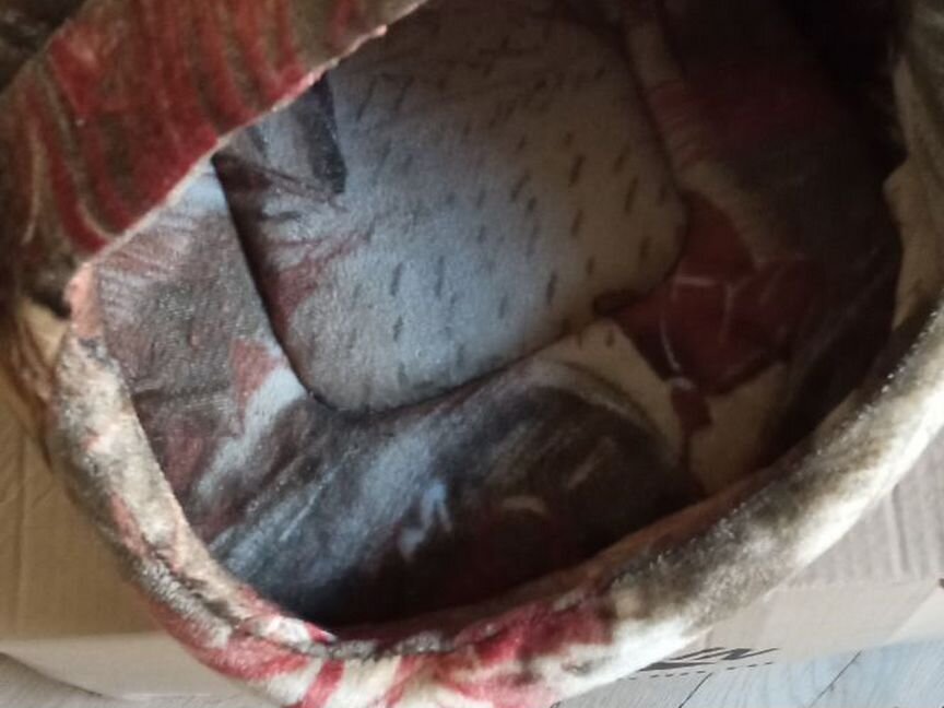 Домики-лежанки и переноска для маленьких собак