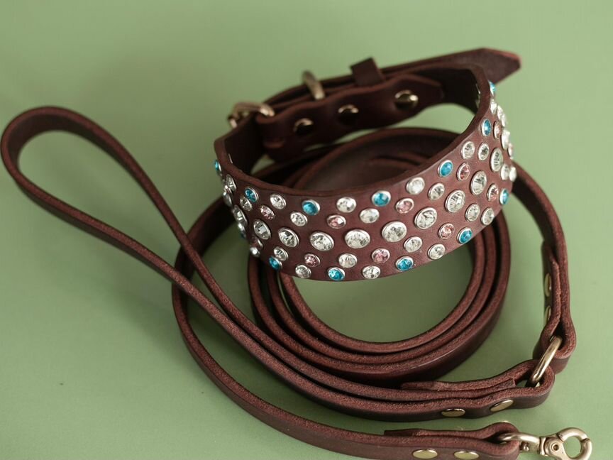 Ошейник и поводок (комплект)