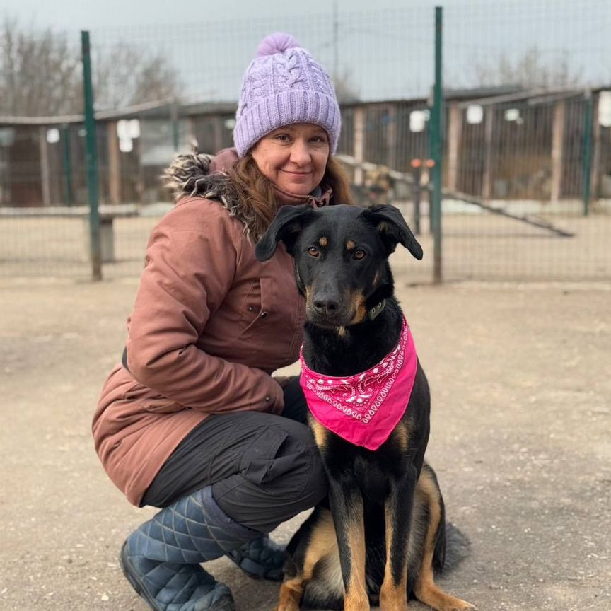 Красотка Нотка в добрые руки