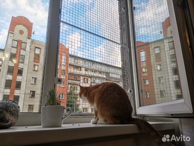 Решетка антикошка на окно для кошек и детей купить в Санкт-Петербурге ...
