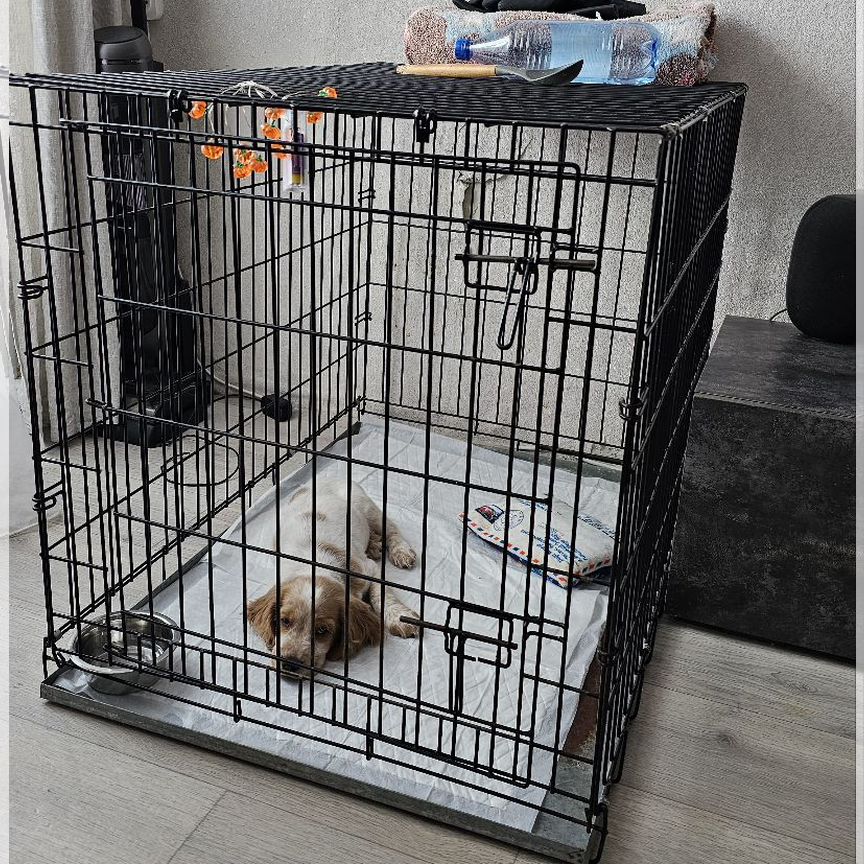 Клетка вольер для собак