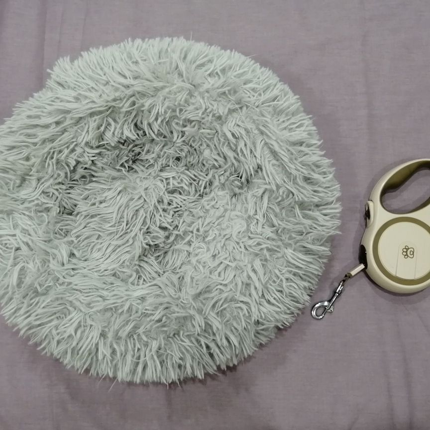 Комплект для домашнего питомца: лежанка и поводок