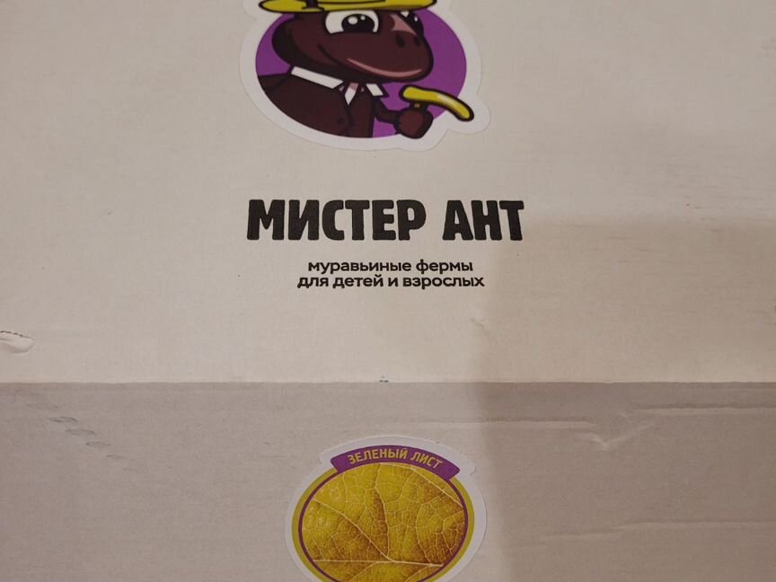 Муравьиная ферма мистер ант