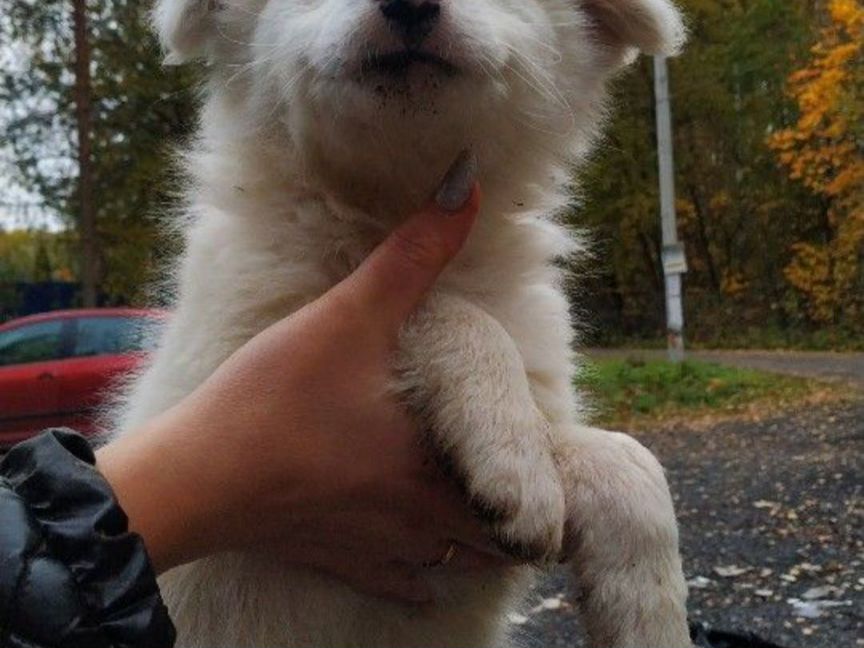 Белоснежка не хочет замерзнуть