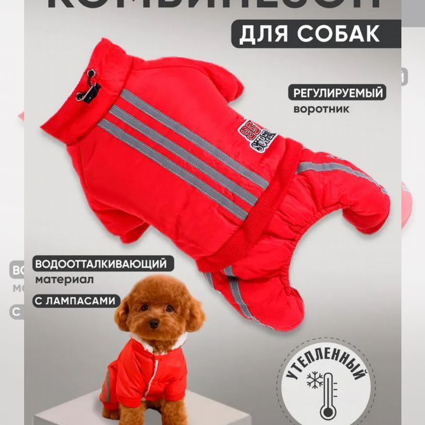 Комбинезон для собаки (зима)