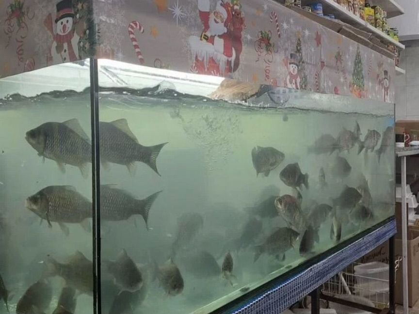 Аквариумы 680 л