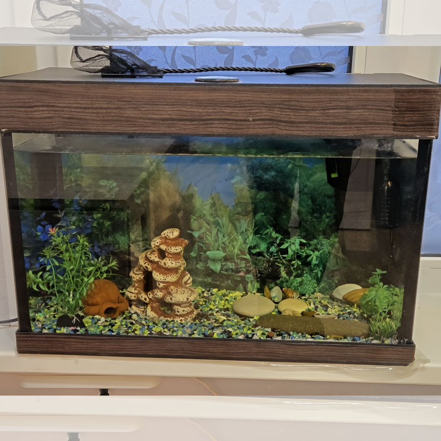 Аквариум с рыбками 30 л