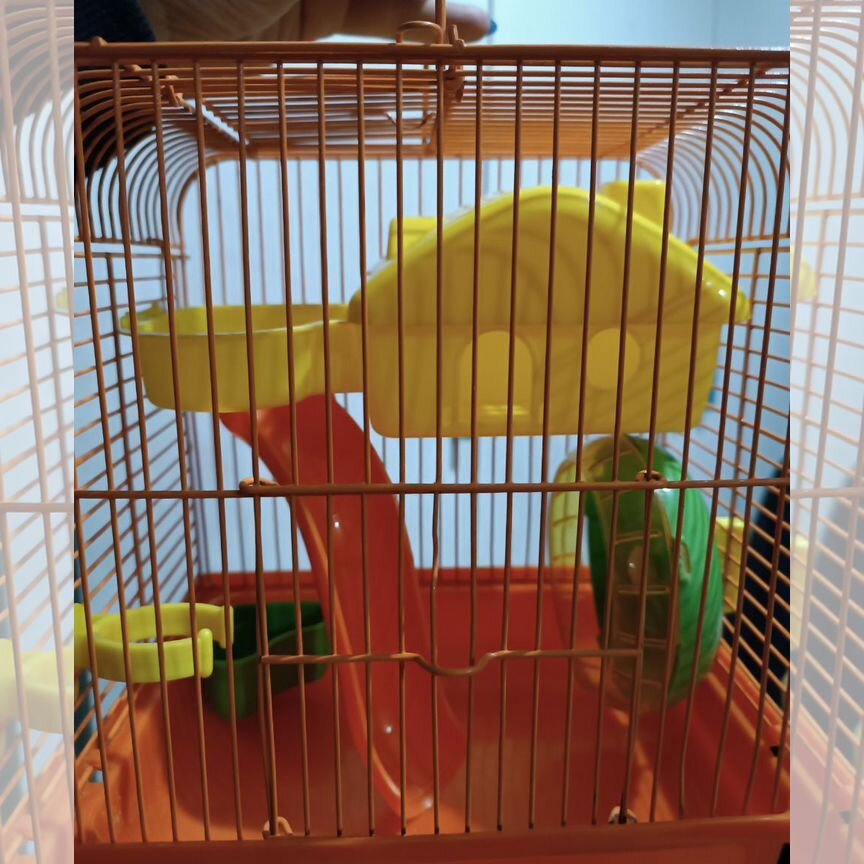 Клетка для джунгарского хомяка