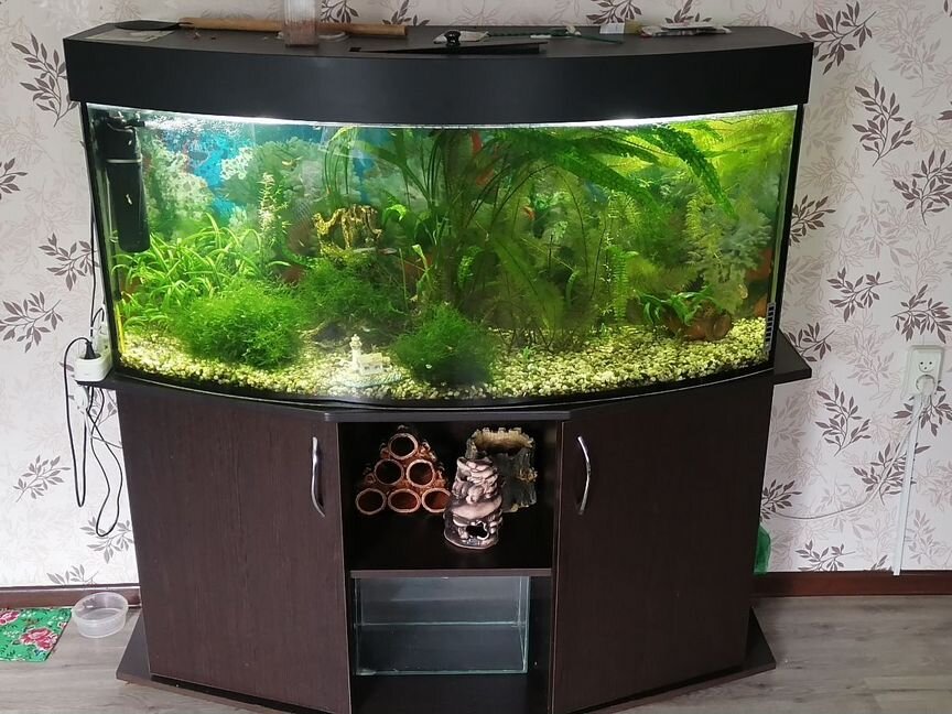 Аквариум с тумбой 230л