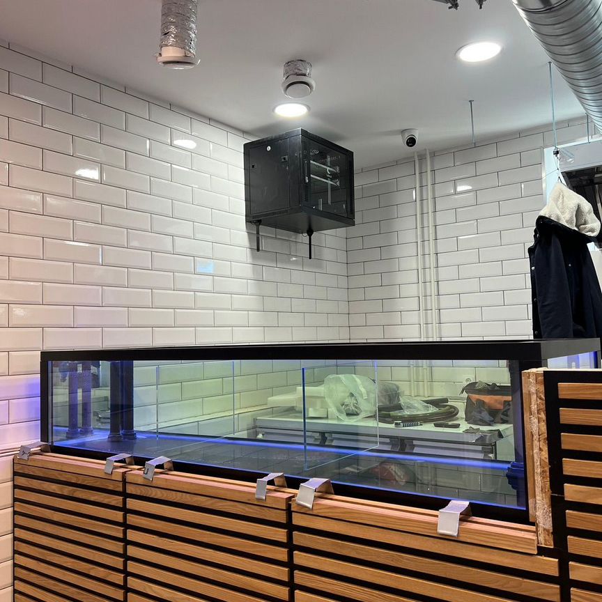 Аквариум для морских ежей, устриц, крабов